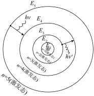 玻尔氢原子电子轨道示意图如图所示，处于 -高途